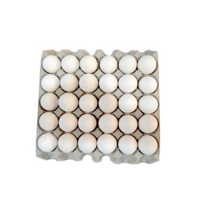 Daily Fresh Eggs Pack Of 30 pcs – Starquik