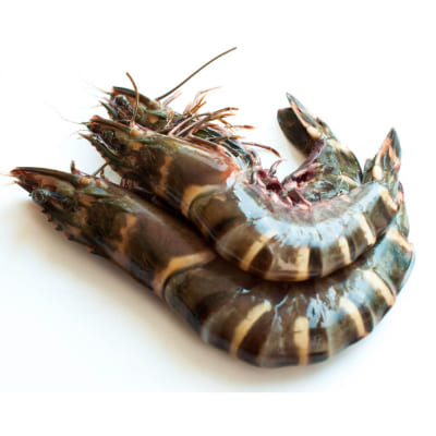 Starfresh Sea Water Tiger Prawn 50 Count 1 kg – Starquik