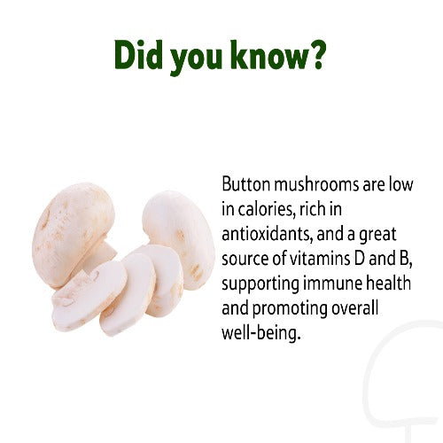 button mushroom description